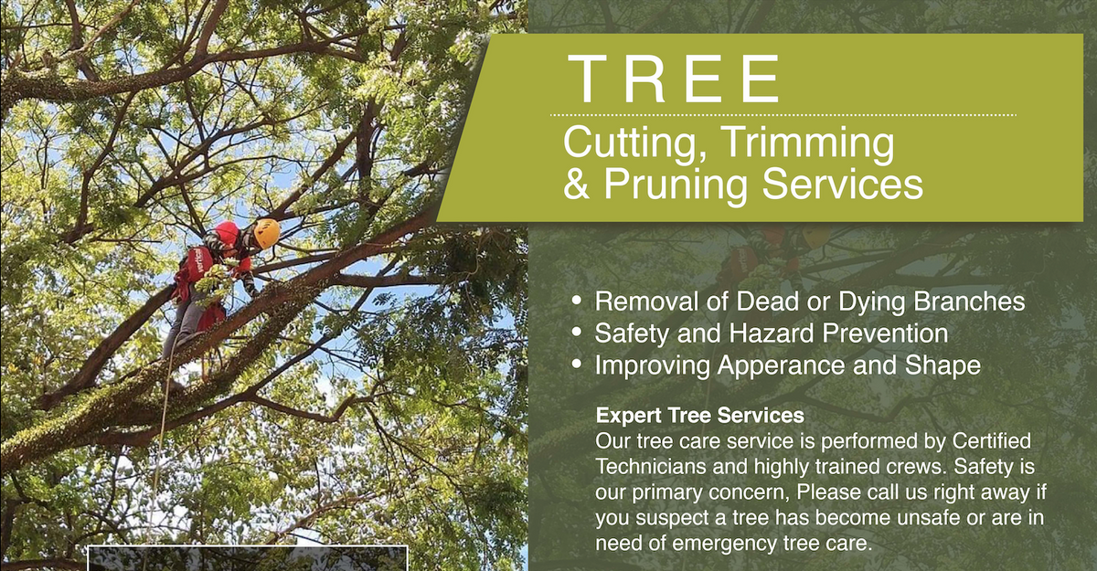 Tree Pruning – Vertical Difficult Access Solutions, Inc.